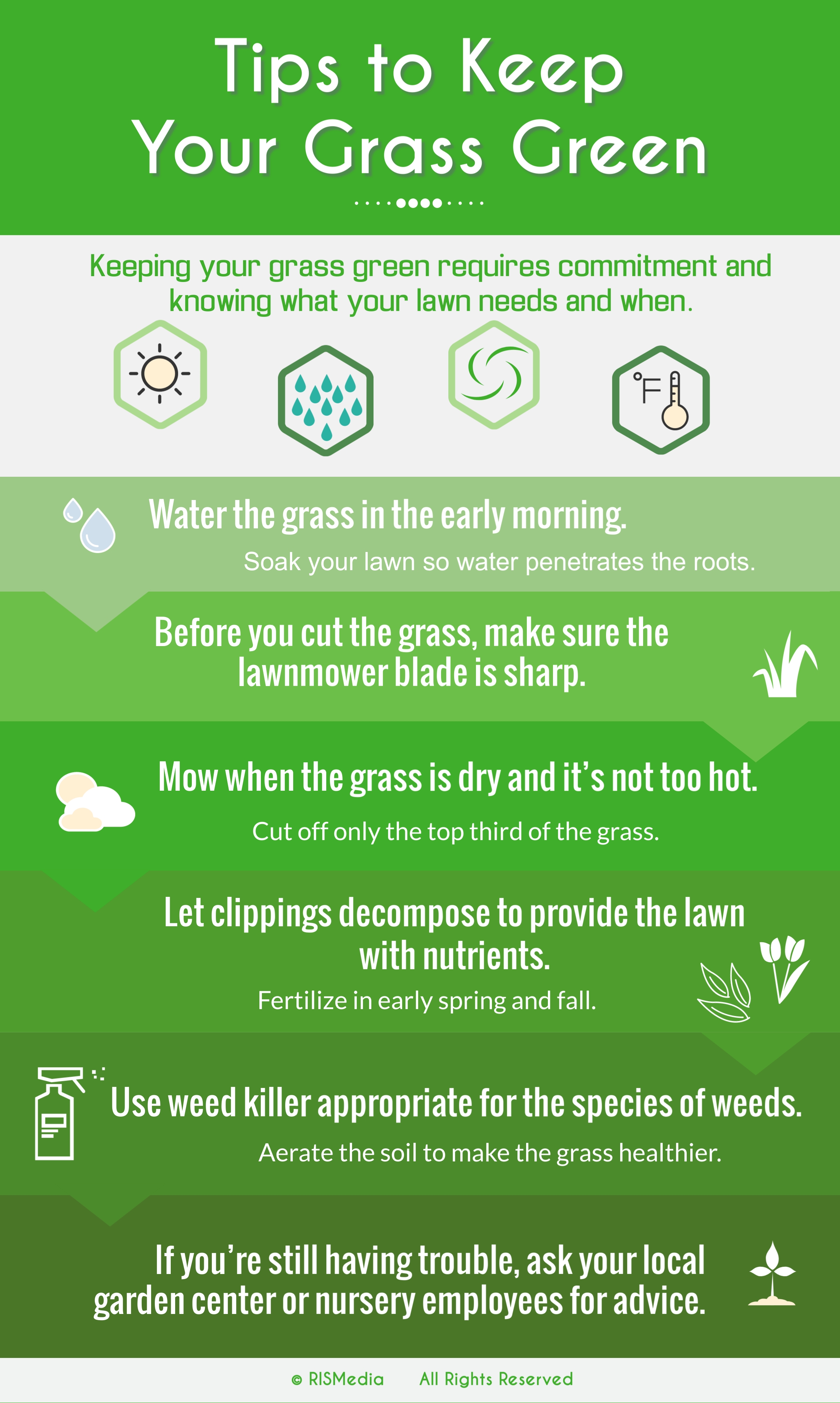 Tips to Keep Your Grass Green — RISMedia