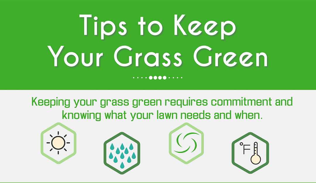 Tips to Keep Your Grass Green — RISMedia