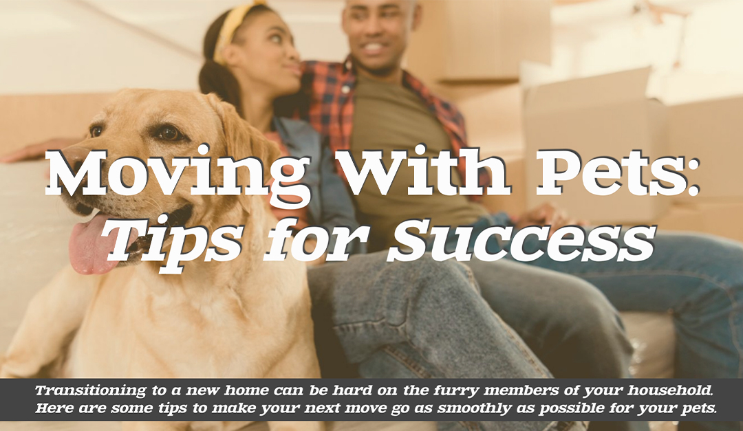 Moving With Pets: Tips for Success — RISMedia