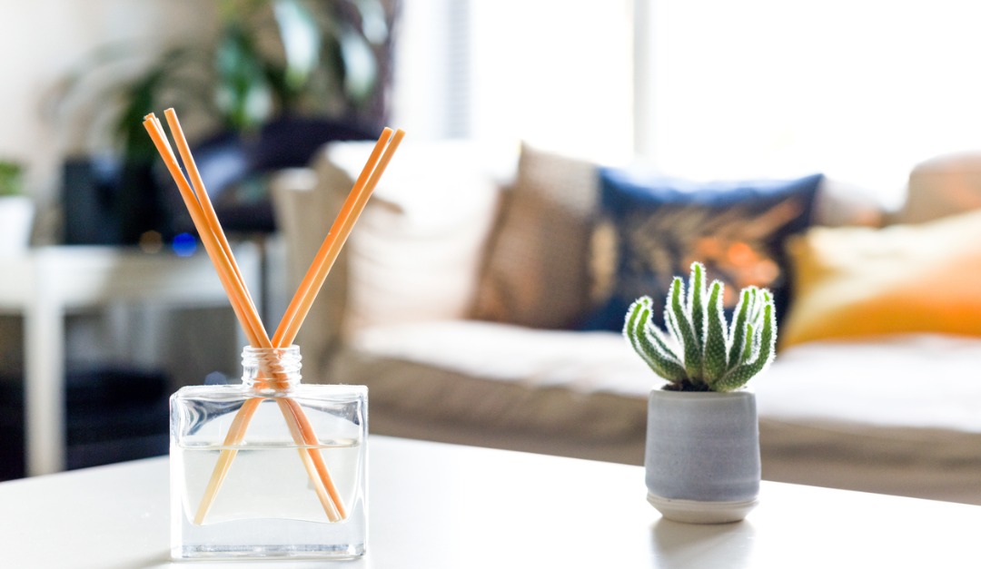 How to Make Your Home Smell Amazing...Naturally — RISMedia